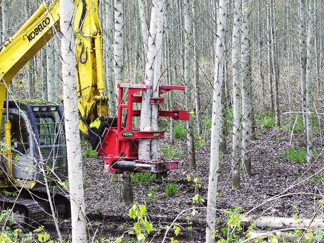 FECON Tree Shear | Norlift